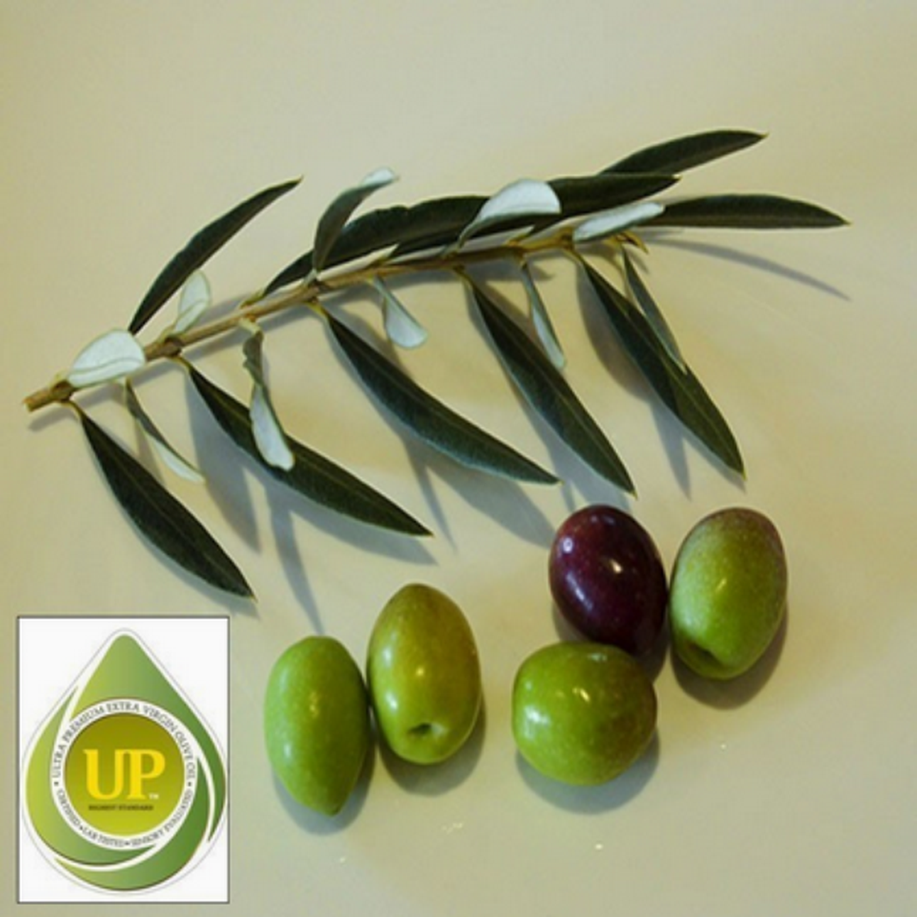 Galega Extra Virgin Olive Oil (Oct. 2024) | Capizzano Olive Oils & Vinegars